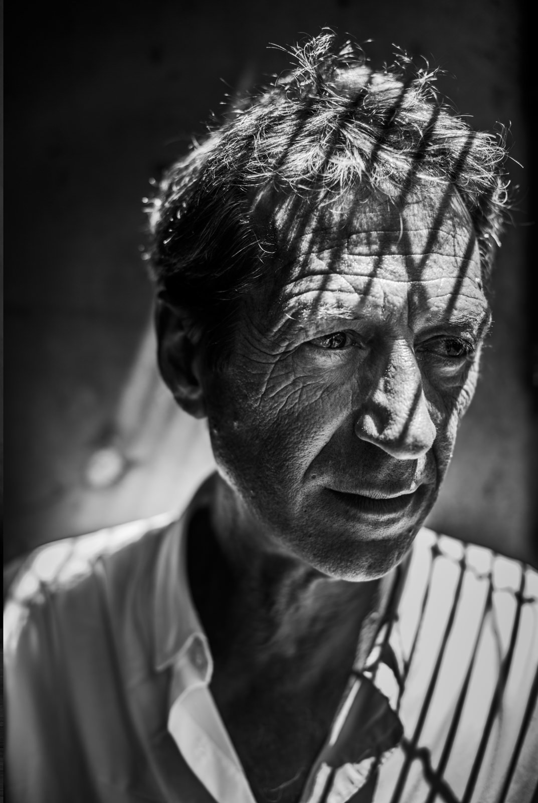 Retrato · Premios LUX